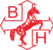 BVH logo New - Ballyvesey Holdings Limited